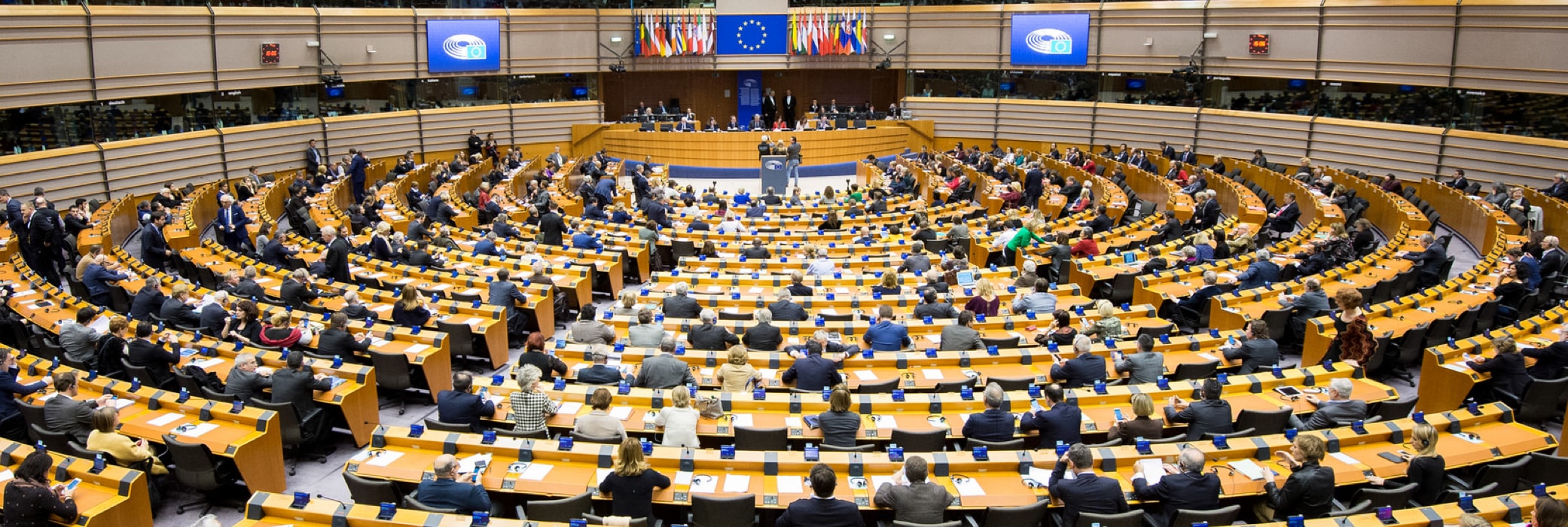 Board of directors I Spanish Committee of the LECE